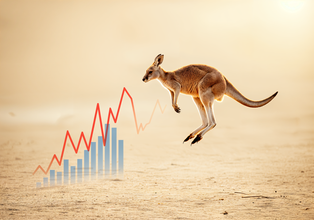 C’est quoi le kangourou market